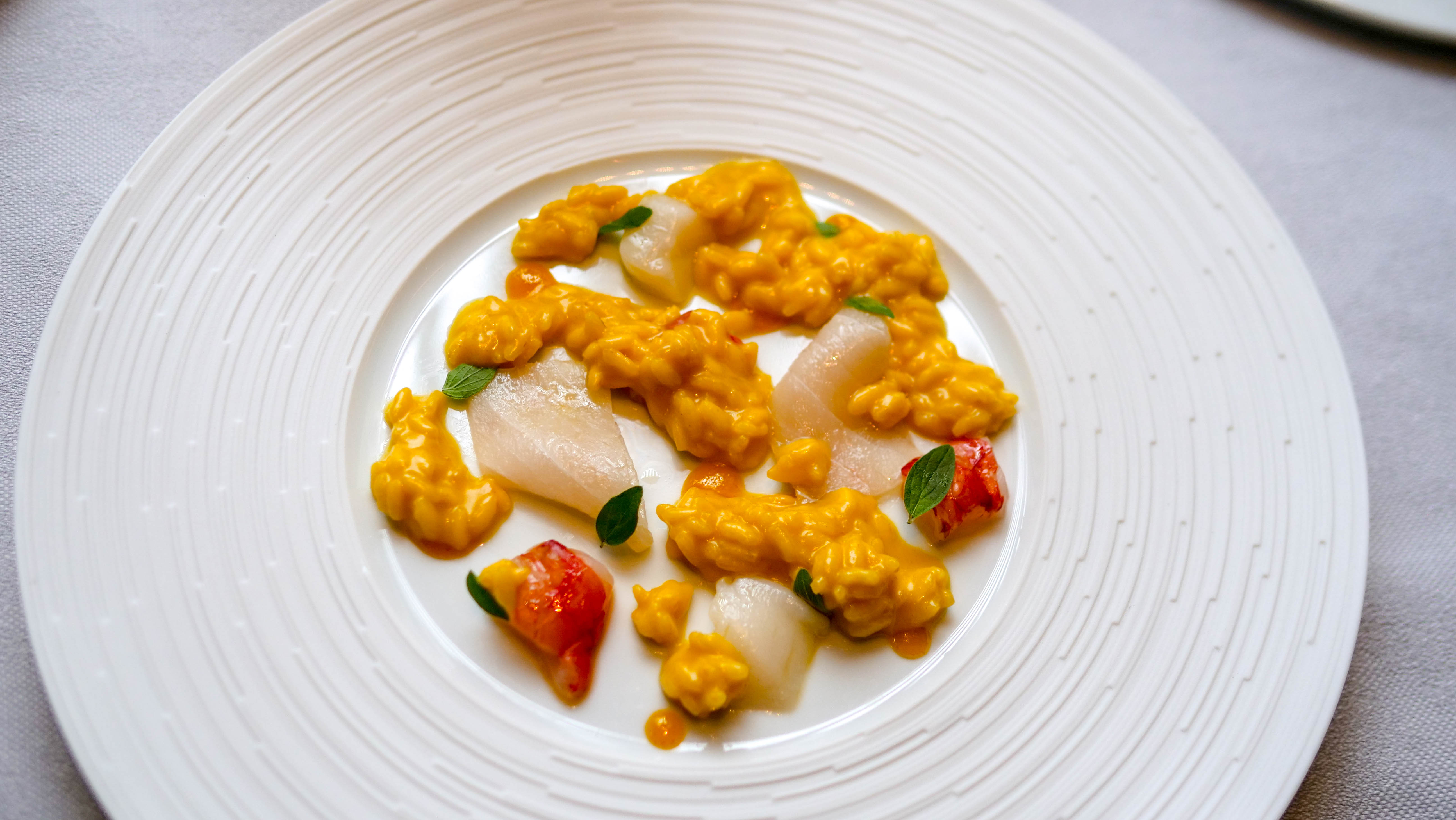 DaNico Toronto 2023 | Gallery