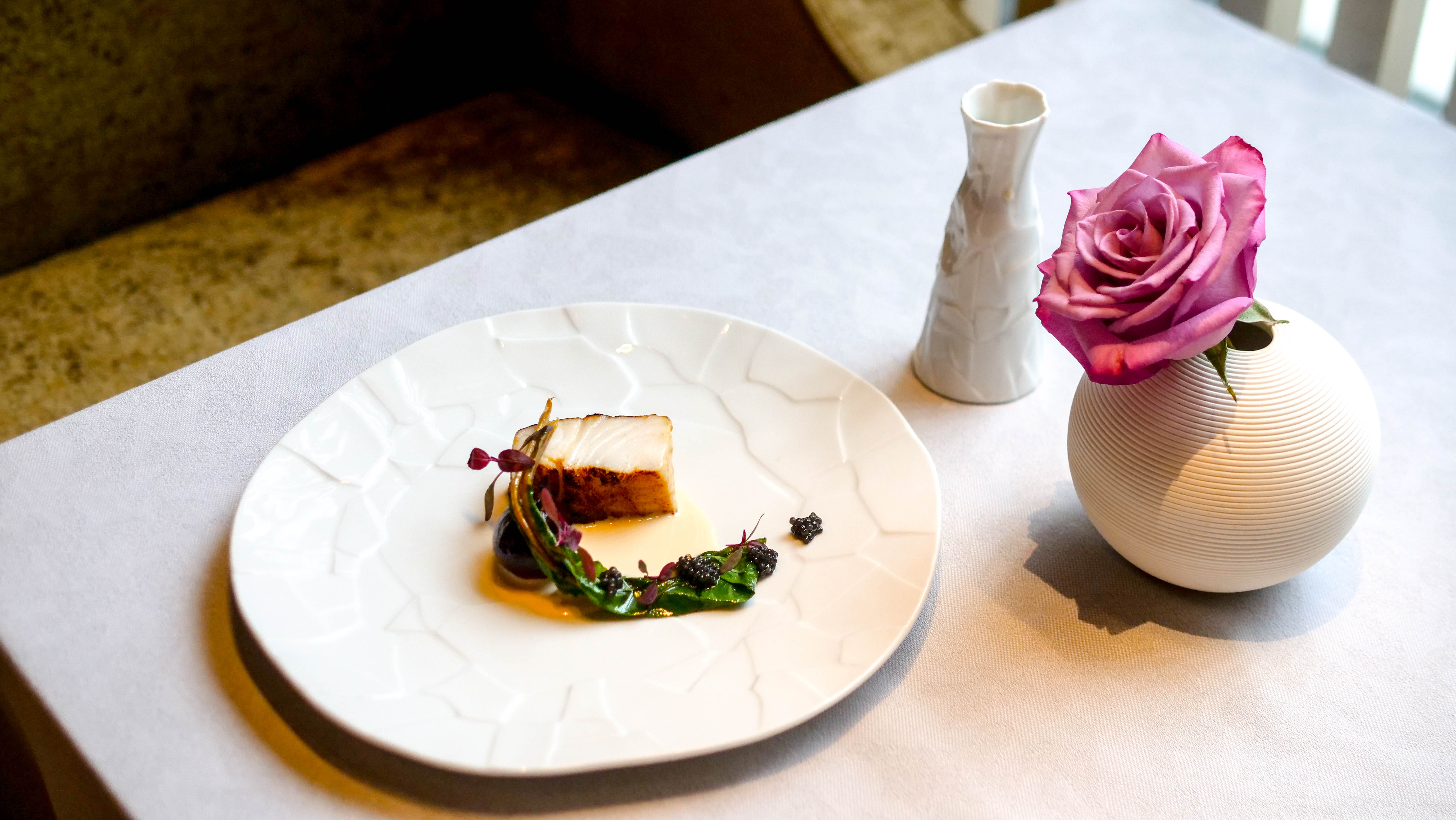 DaNico Toronto 2023 | Gallery